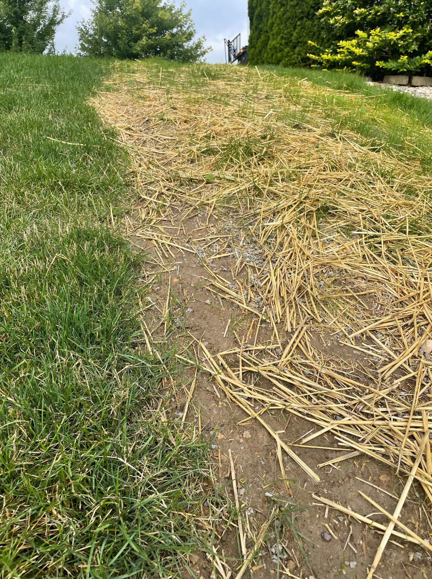 Improvement Is Messy | (R) Adam Davidson